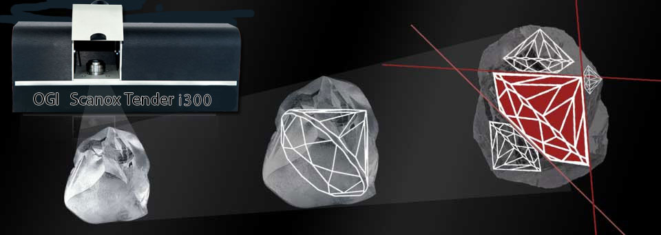 Scanox Tender i300 | OGI Systems